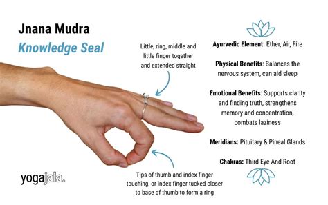Jnana Mudra Chin Mudra Meaning Benefits And How To Do Siddhi Yoga