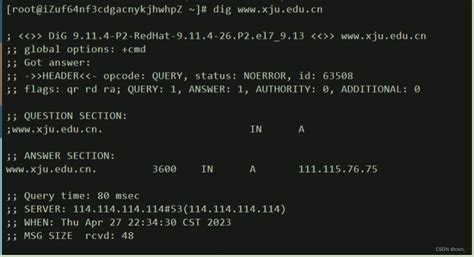 实验5 Dns协议分析与测量cwn的博客 Csdn博客 实验5 Dns协议分析与测量cwn的博客 Csdn博客