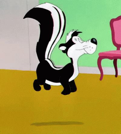 Love Skunk  Love Skunk Jump Discover Share S Artofit