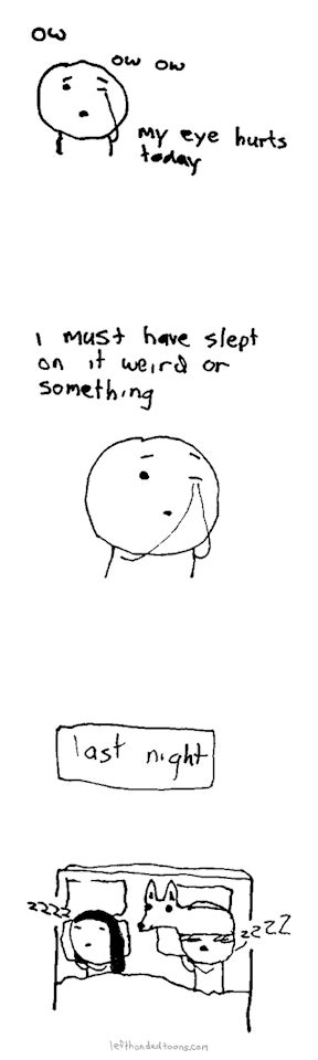 Thisisabloghearmeroar Tumblr Com Tumbex