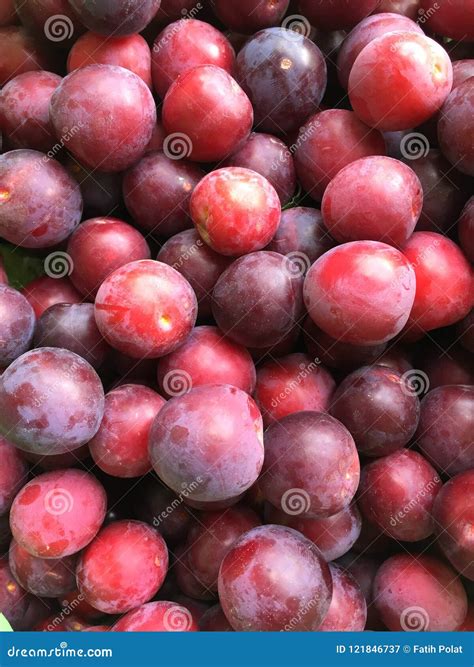 Uma Opinião A Ameixa Vermelha Imagem De Stock Imagem De Vitaminas