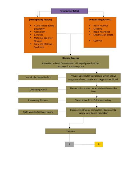 Concept Map Of Tof Case Study Tetralogy Of Fallot Predisposing Factors A Viral Illness