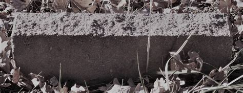 Milstead Blanche C Taylor Cemetery Days