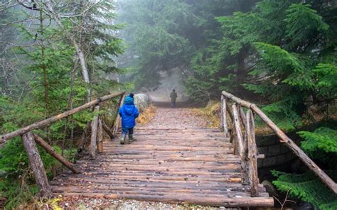 От Златните мостове до хижа Еделвайс на Витоша с деца Светоглед