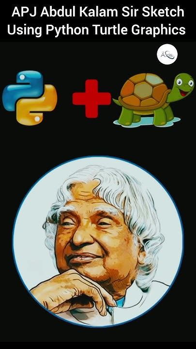 Cool Python Turtle Graphics Design Pythonturtlegraphics
