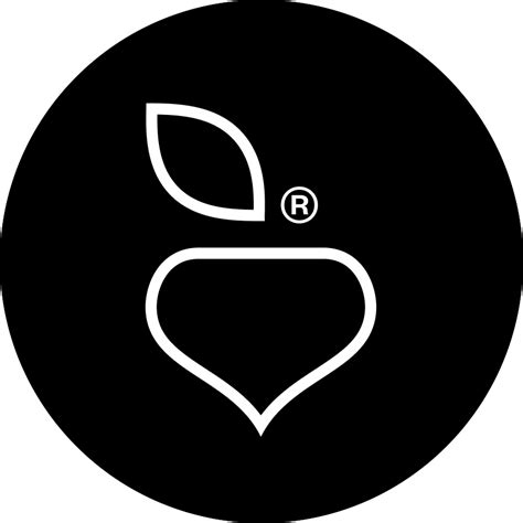 Профессия Uxui дизайнер Plus в школе дизайна и технологий Bang Bang