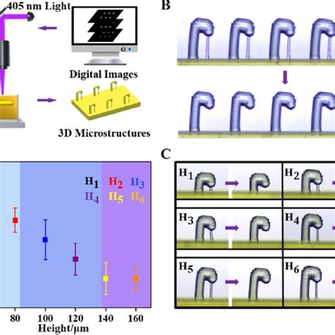 Complex 3d Structures With A Suspending Microstructure Fabricated By A Download Scientific