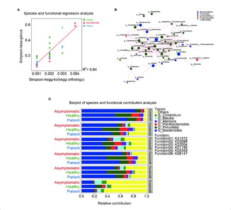 Relationship Between Gut Microbiota And Function A The Linear