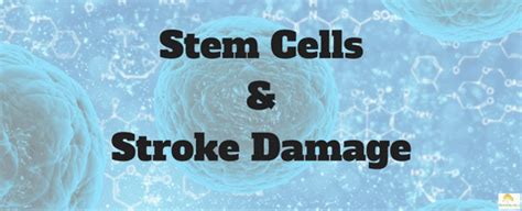 Stem Cells Stroke Damage Renaissance Health Centre