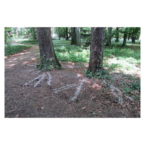 Root Detector Fakopp