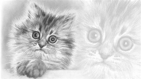 Как нарисовать котенка карандашом Youtube