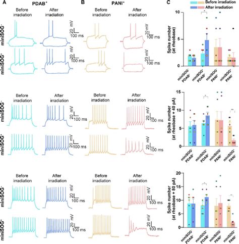 Current Injection Evoked Spikes Characterization Before And After