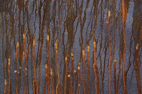 Rust 06 Rust Nature Artwork Painting Inspiration