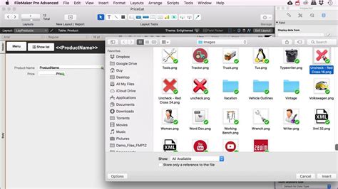 Filemaker Pro 10 Best Price Passapics