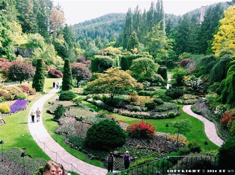 빅토리아부차드가든 캐나다 빅토리아 부차드가든 Butchart Gardens 네이버 블로그