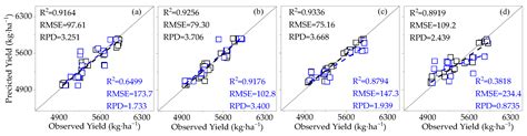 Modeling Of Cotton Yield Estimation Based On Canopy Sun Induced Chlorophyll Fluorescence