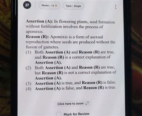 Marks Type Single Assertion A In StudyX