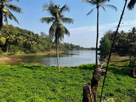 Sanjeev Duggal On Linkedin Seven Small Things To Do Whenever You Have Some Free Time To Make