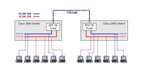 Understanding Trunks Functions And Explanations Of Trunk Links Matob