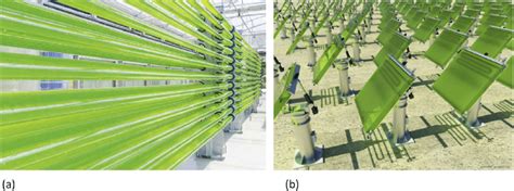 A Tubular Pbr System B Plate Photobioreactor Image Source Download Scientific Diagram