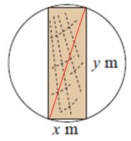 Calculus Optimization Problems