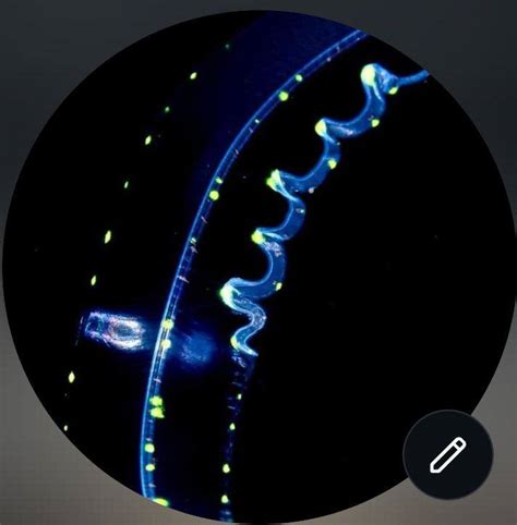 School Of Immobility And Movement Sim 🧿 Hello Asian Tradition And Western Modern Science