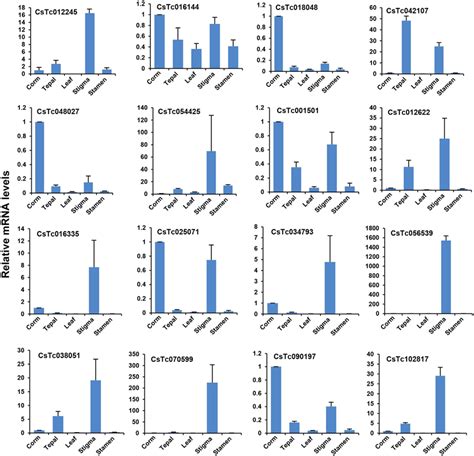 Real Time PCR Validation Of Gene Expression Obtained Via RNA Seq Download Scientific Diagram