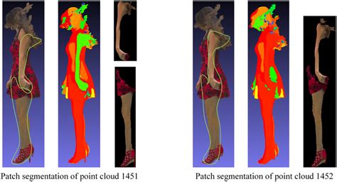 schematic diagram of patch re segmentation motivation the diagram