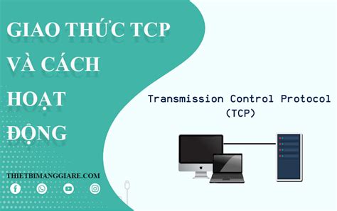 Giới Thiệu Giao Thức Tcp Và Cách Thức Hoạt động Chi Tiết Thiết Bị Mạng Giá Rẻ