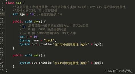 【java】可变参数和作用域看这一篇就够啦 Csdn博客