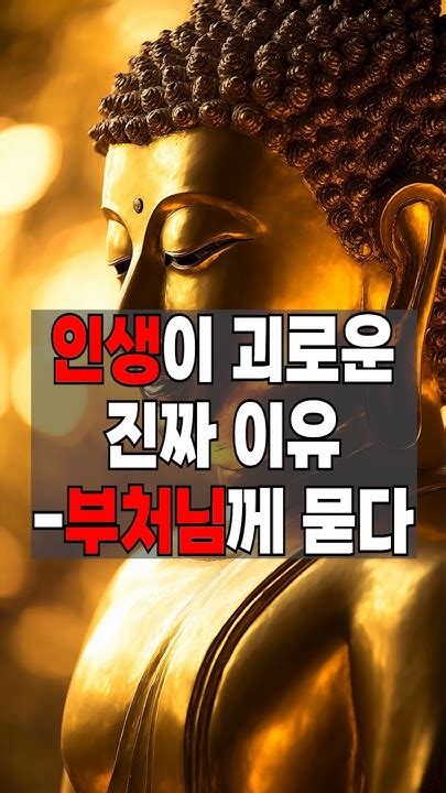 삶이 괴로운 진짜 이유 갈애에 답하다 부처님말씀 부처님의가르침 석가모니인생조언 Youtube