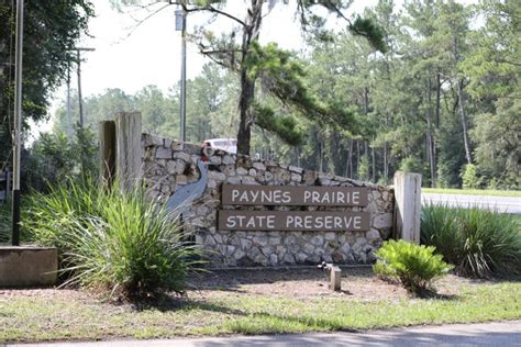 Paynes Prairie Preserve State Park