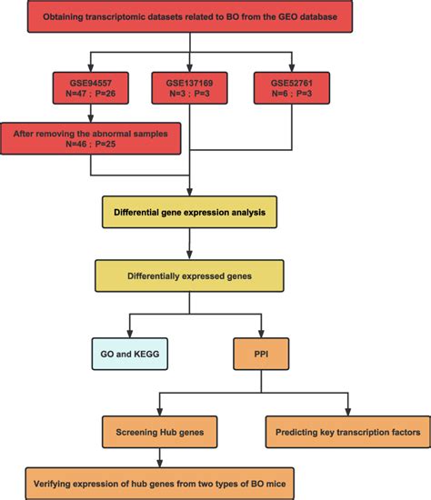Identification Of Hub Genes In The Pathogenesis Jir