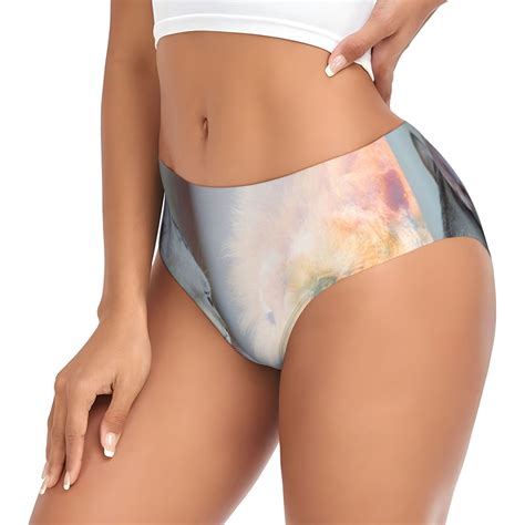 Junzan The Cat Looks In The Mirror Print Womens Brief Underwear