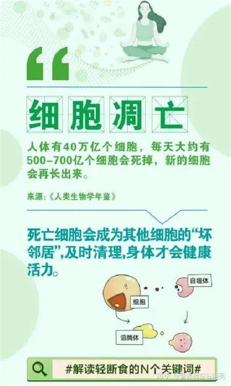 “5 2”轻断食 ‖ 被诺贝尔奖认证的长寿方法！ 知乎