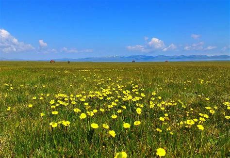 Ирина Строкова Это не серьезно Заниматься партнерским бизнесом не серьезно ⠀ Так написал