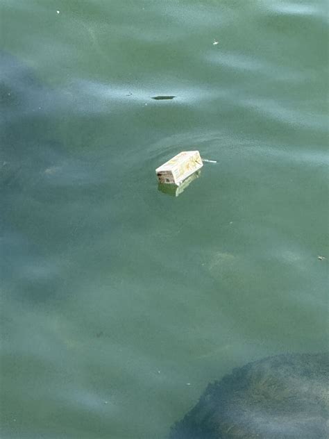 Yolo 8 Project Object Detection Dataset By Yolo Deeplearning