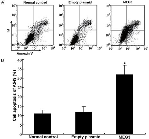 Figure 1 From Long Non Coding Rna Mg 3 Inhibits Proliferation And Migration Of Non Small Cell