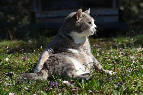 The Ultimate Challenge 1000 Days Of Blender 3d Evolution Day 1 Of 1000 By Bibt Mar 2024