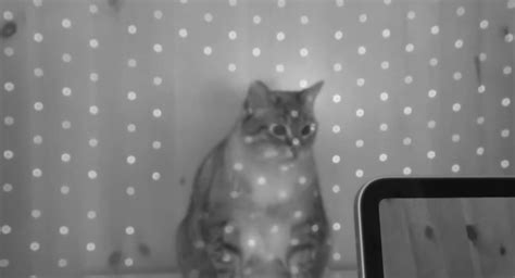 What Is Lidar And How Does It Work With Ios