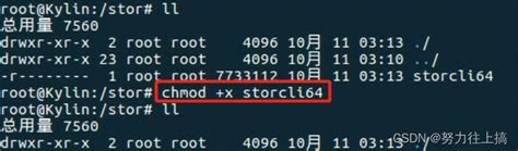 使用storcli storcli64工具配置raid csdn博客