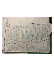 ECE Cheat Sheet Exam Course Hero