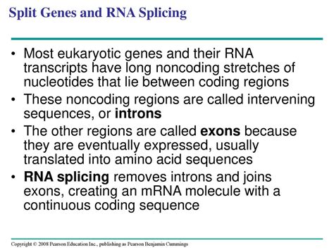 chapter 17 from gene to protein ppt download