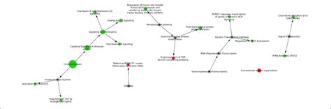 Six Major Reactome Pathways Found Differentially Expressed In Lung Download Scientific