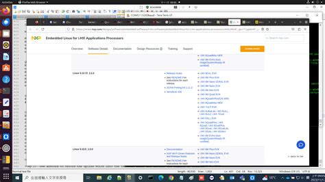 chromium ozone wayland if we could run the chromium application using