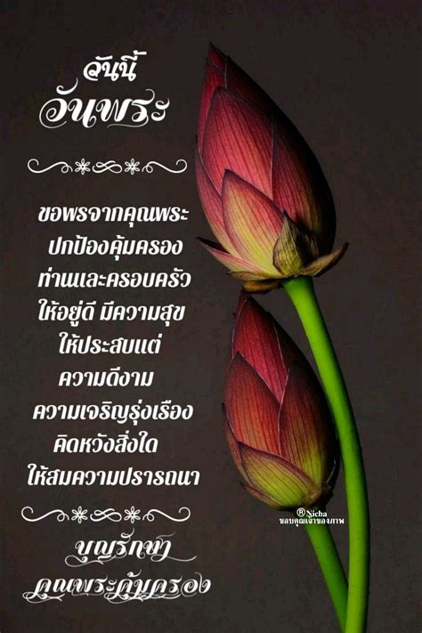 วันพระ 🙏 พระพุทธเจ้า รูปภาพ ดอกไม้