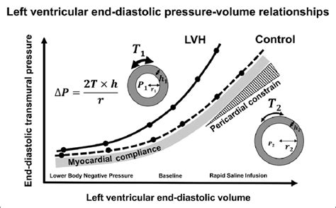 Stroke Volume Vs End Diastolic Volume At Todd Kinder Blog