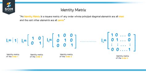 Identity Matrix Explanation And Examples