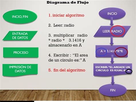 Curso Programación Pseudocódigo Diagramas de Flujo en programación YouTube