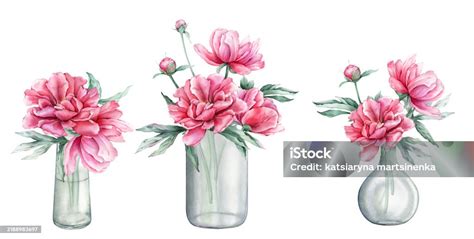 다양한 유리 꽃병과 항아리에 있는 모란의 꽃다발의 수채화 세트 손으로 그린 그림 아름 다운 꽃 벽지 고립 된 여름 식물 식물